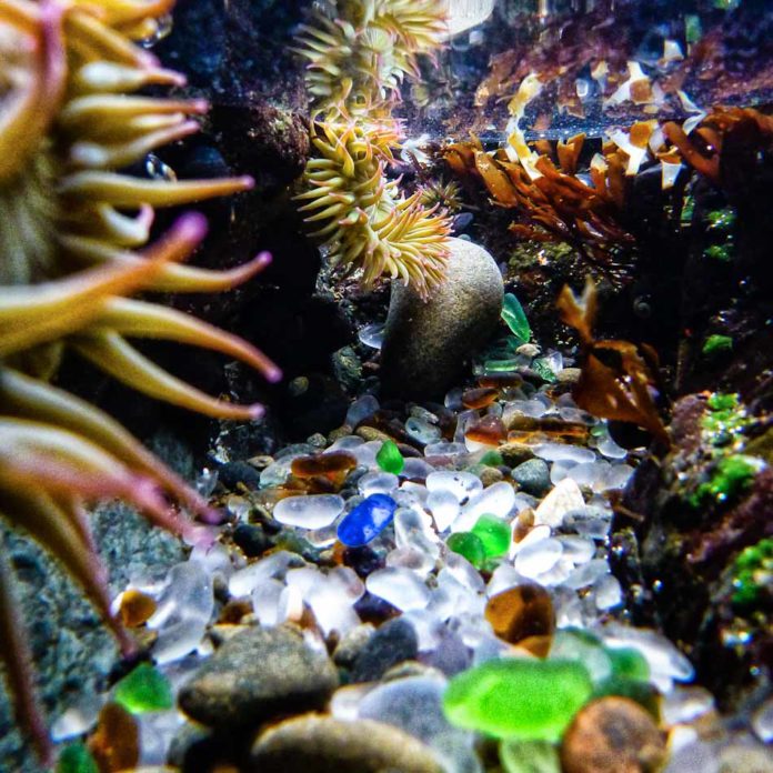 Glass Beach California for Unforgettable Experience - Gets Ready